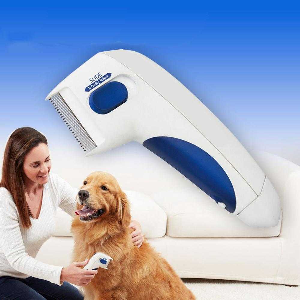 Electric Flea Comb For Pets | asghedom.com