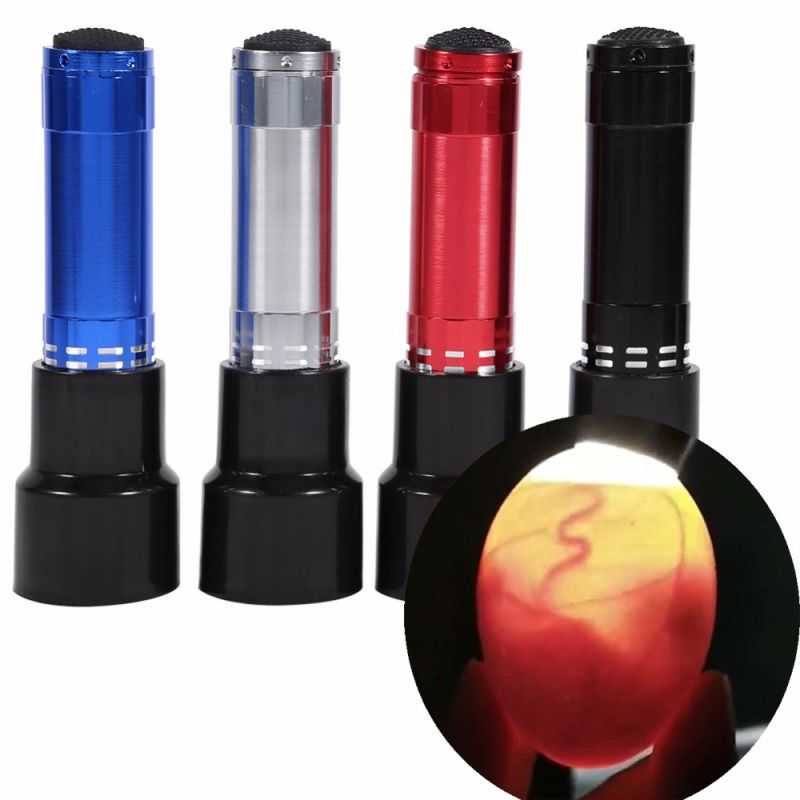 Egg Tester Light | asghedom.com