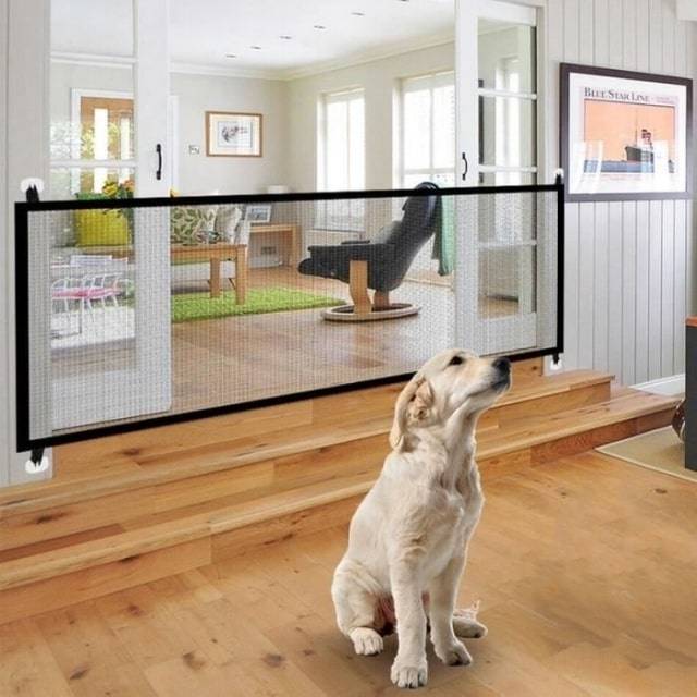 Dog Mesh Gate | asghedom.com