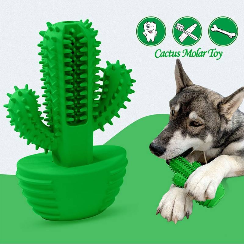 Cactus Dog Toothbrush | asghedom.com