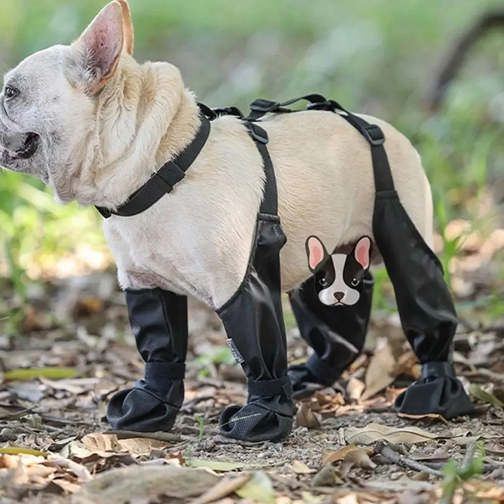 Suspender Dogs Boots | asghedom.com